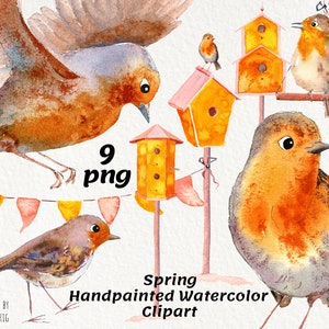 Watercolor Spring Clip Art, Handpainted Robin Birds and Bird Houses ...