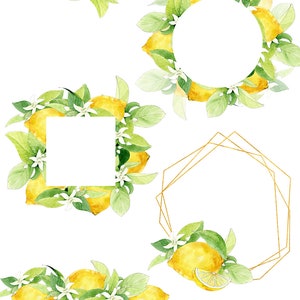 Watercolor Lemon Frame Clipart. Handpainted Bright Summer Fruit. Gold ...