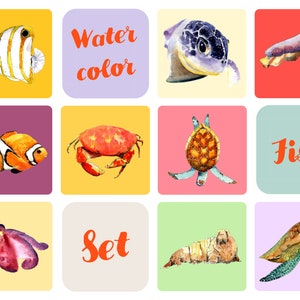 Sea Animals and Fish Watercolor Clipart. Handpainted Sealife Clip Art ...