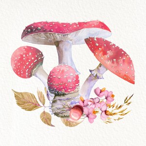 Watercolor Fall Clipart, Forest Autumn Clipart, Handpainted Mushrooms ...