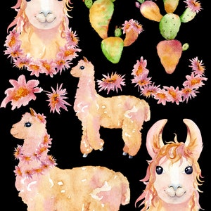 Watercolor Llama Clipart, Handpainted Alpaca Clip Art for Nursery Decor ...