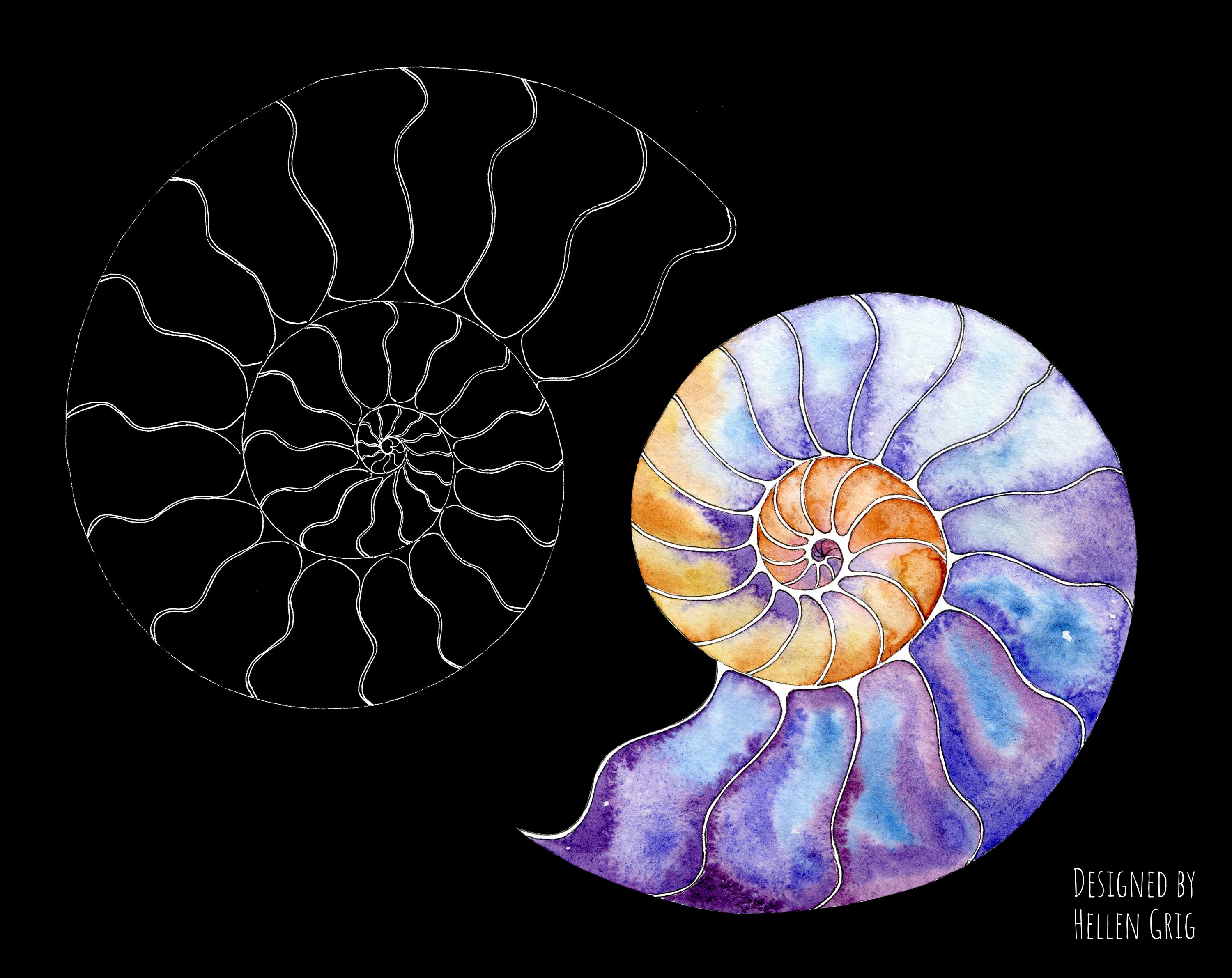 Watercolor Nautilus Shell Clipart, Handpainted Sea Set. Printable Files ...