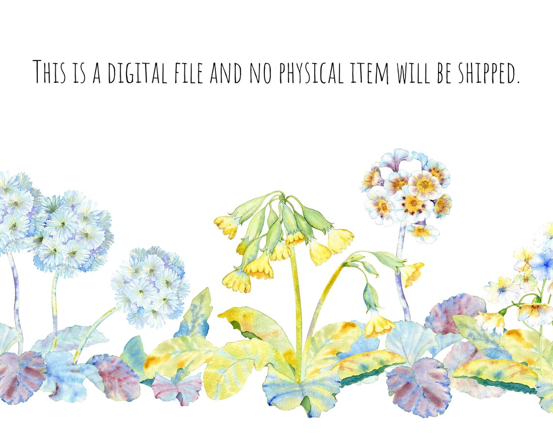 Watercolor Primrose Border Clipart. Spring Seamless Borders. - Etsy