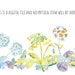 Watercolor Primrose Border Clipart. Spring Seamless Borders. PNG Files ...