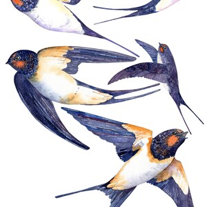 Watercolor Bird Clipart, Handpainted Swallow Clip Art. Printable Files ...