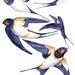 Watercolor Bird Clipart Handpainted Swallow Clip Art. - Etsy