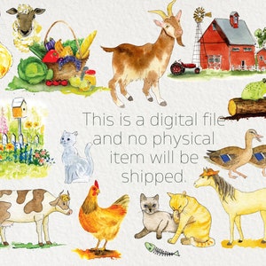 Watercolor Farm Animals Clipart . 20 Hand Painted Watercolor ...