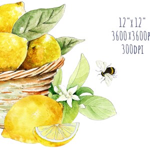 Watercolor Lemon Digital Paper, 12 Seamless Patterns. Handpainted ...