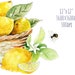 Watercolor Lemon Digital Paper, 12 Seamless Patterns. Handpainted ...