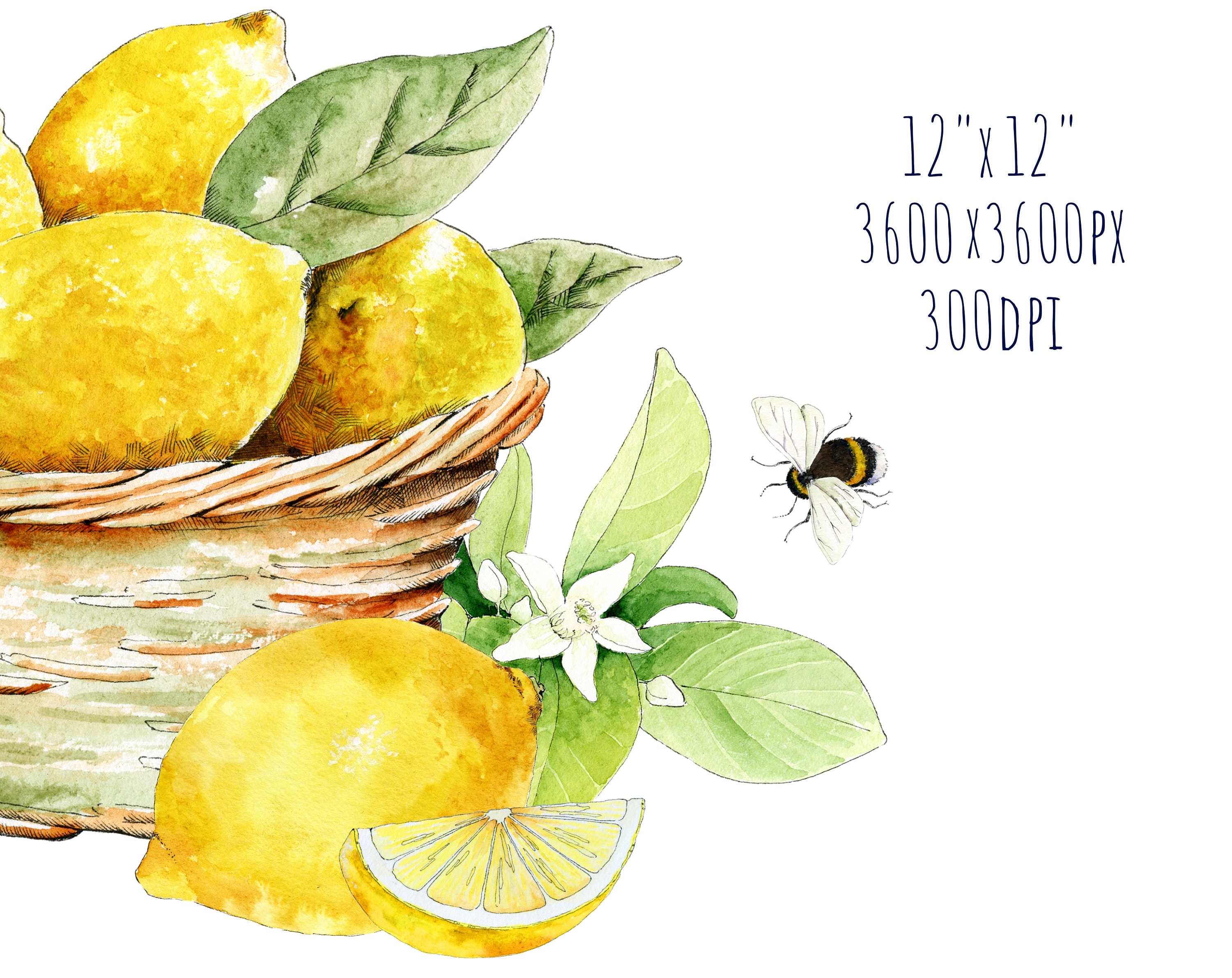 Watercolor Lemon Digital Paper 12 Seamless Patterns. - Etsy