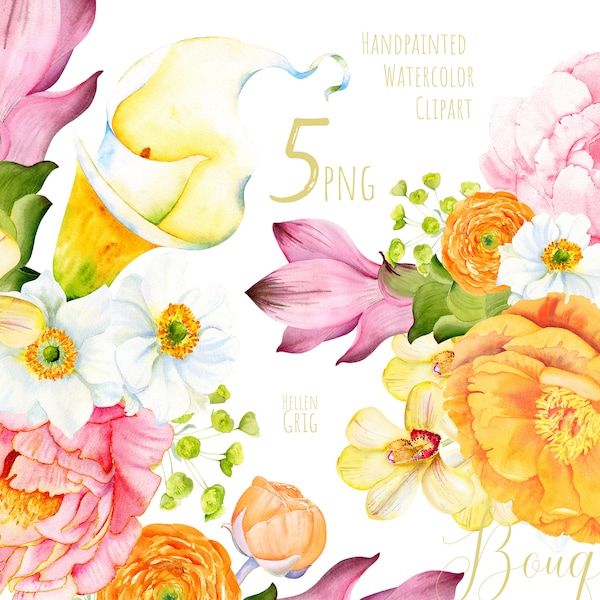 Watercolor Insect Clipart, Handpainted Summer Bug, Beetle, Dragonfly ...