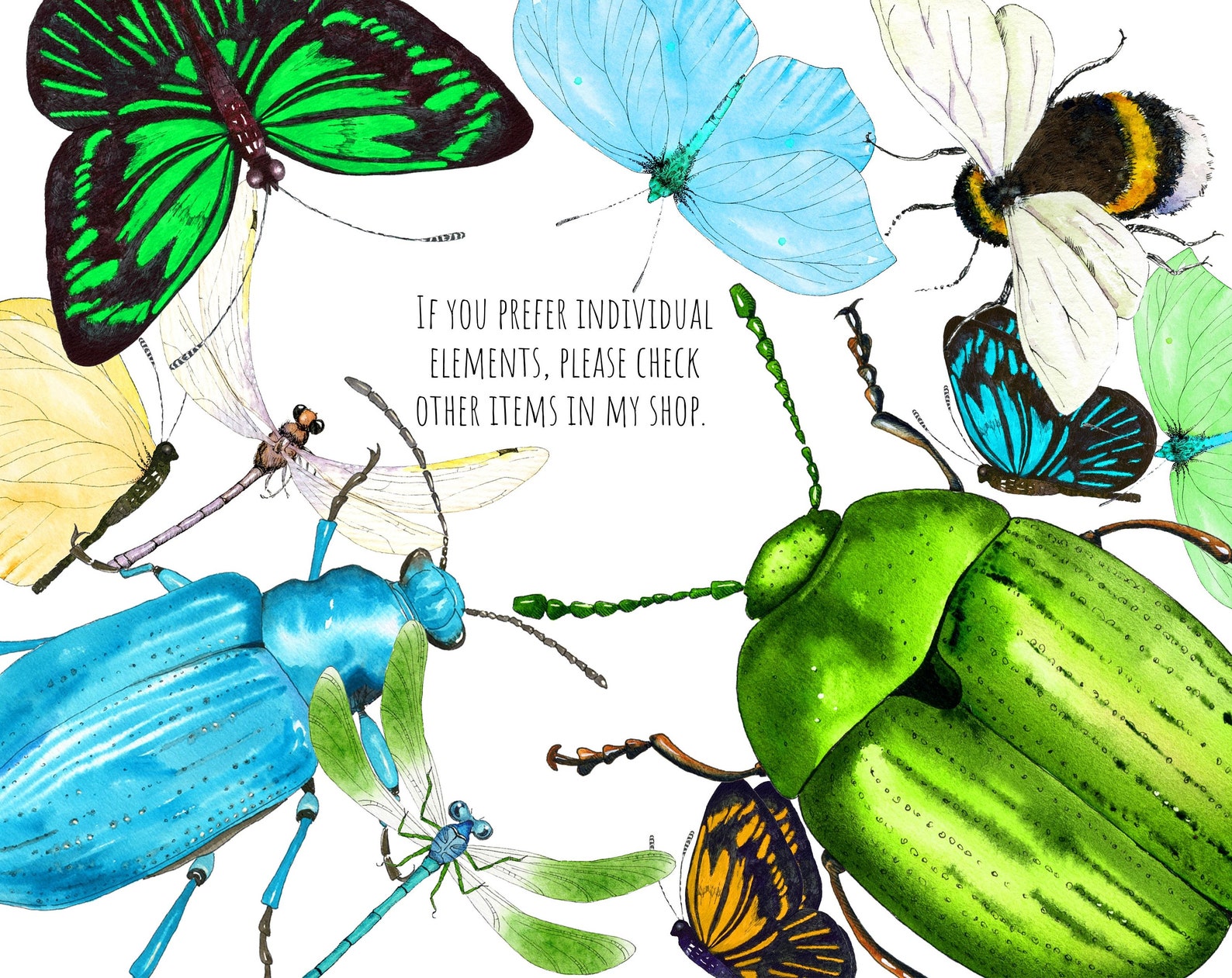 Watercolor Insect Digital Paper, 12 Seamless Patterns. Handpainted ...