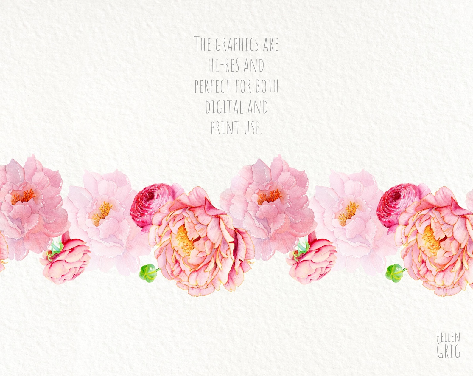 Watercolor Flower Border Clipart. Floral Seamless Borders. PNG Files ...