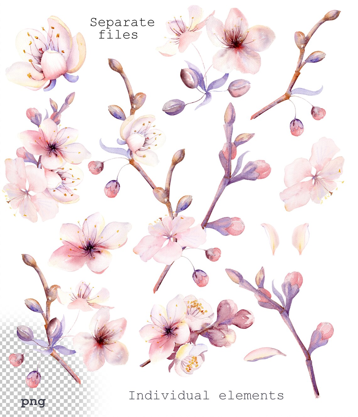 Watercolor Sakura Clipart. Pink, Cherry Blossom, Flowers, Wedding ...