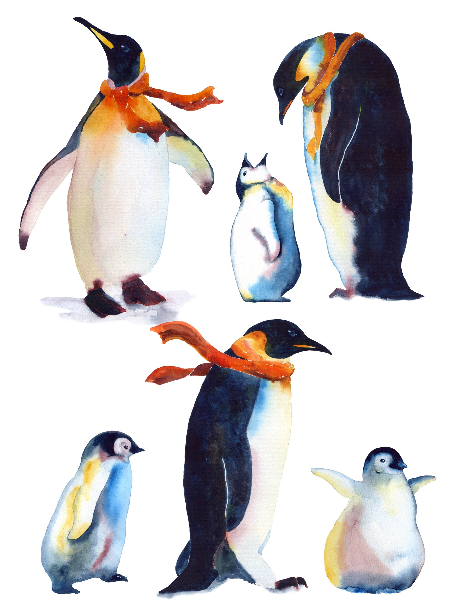 Watercolor Penguin Clipart, Handpainted Bright Winter Penguins for ...