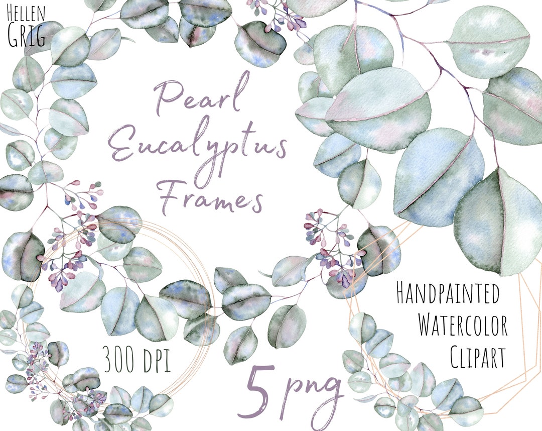 Watercolor Eucalyptus Frames Clipart, Handpainted Floral Wreaths ...