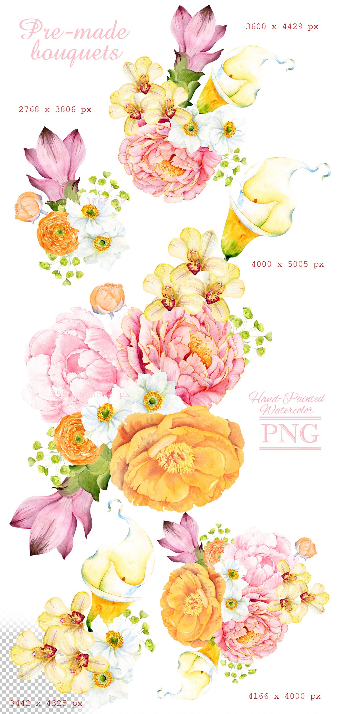 Watercolor Floral Clipart Pink Peony Bouquets Flower - Etsy