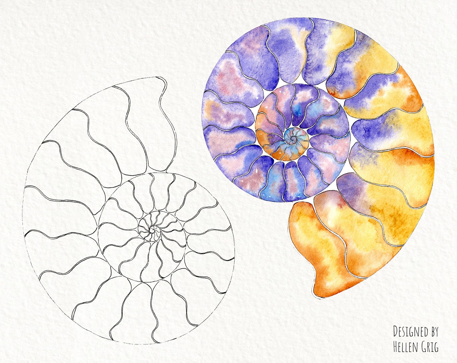 Watercolor Nautilus Shell Clipart, Handpainted Sea Set. Printable Files ...