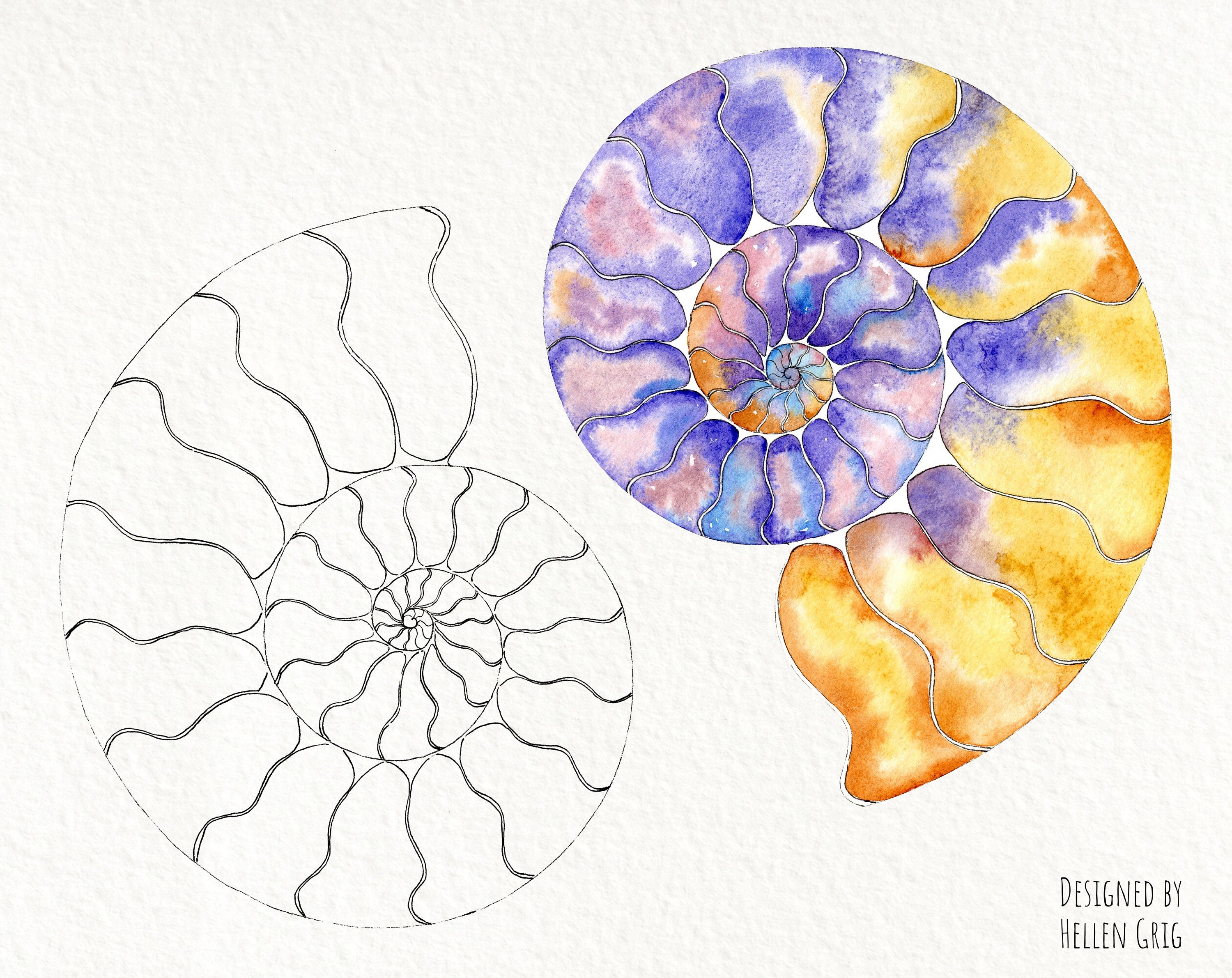 Watercolor Nautilus Shell Clipart, Handpainted Sea Set. Printable Files ...