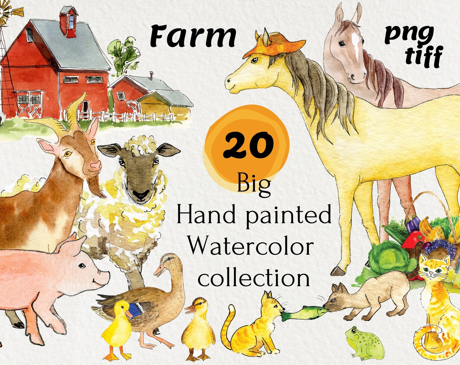 Watercolor Farm Animals Clipart . 20 Hand Painted Watercolor ...