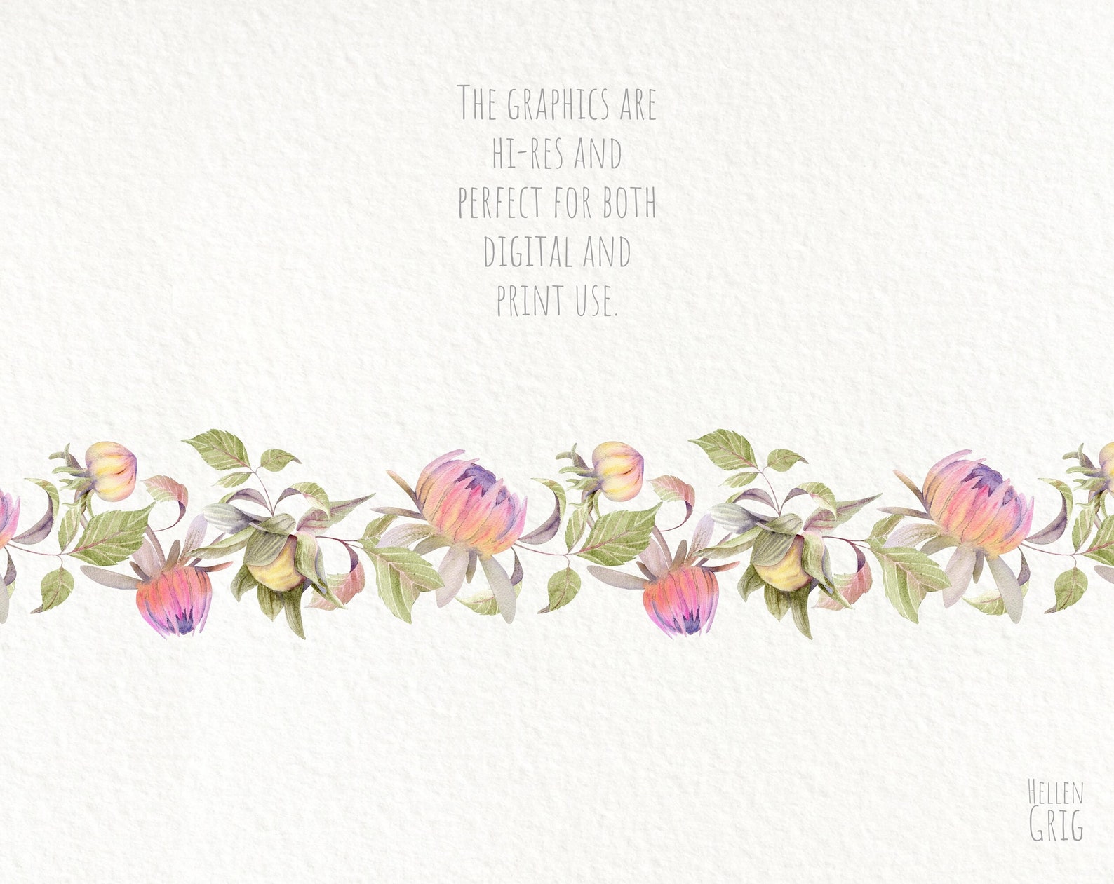 Watercolor Pink Floral Border Clipart. Fall Seamless Borders. - Etsy