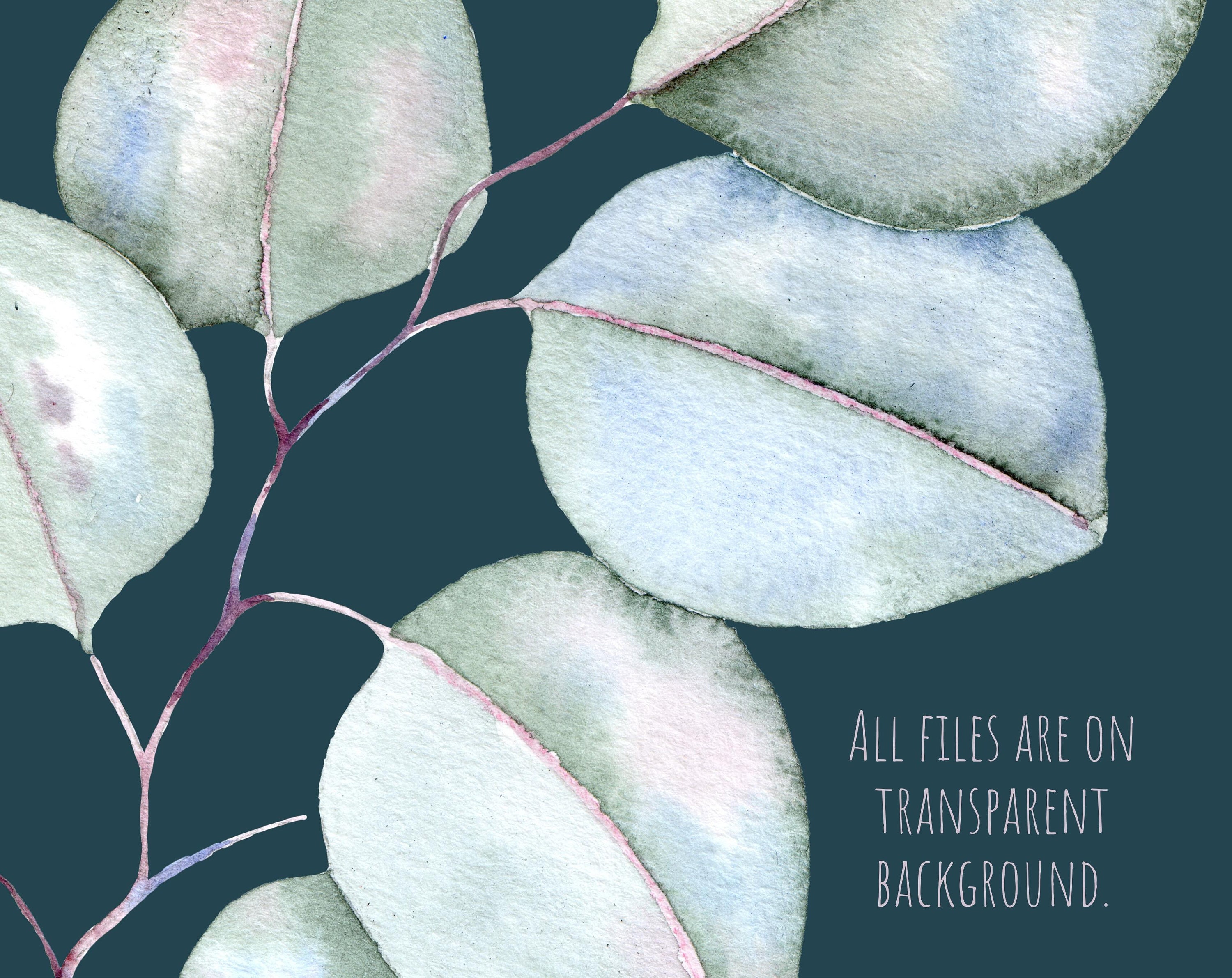 Watercolor Numbers Clipart, Hand Painted Number Floral Clip Art ...