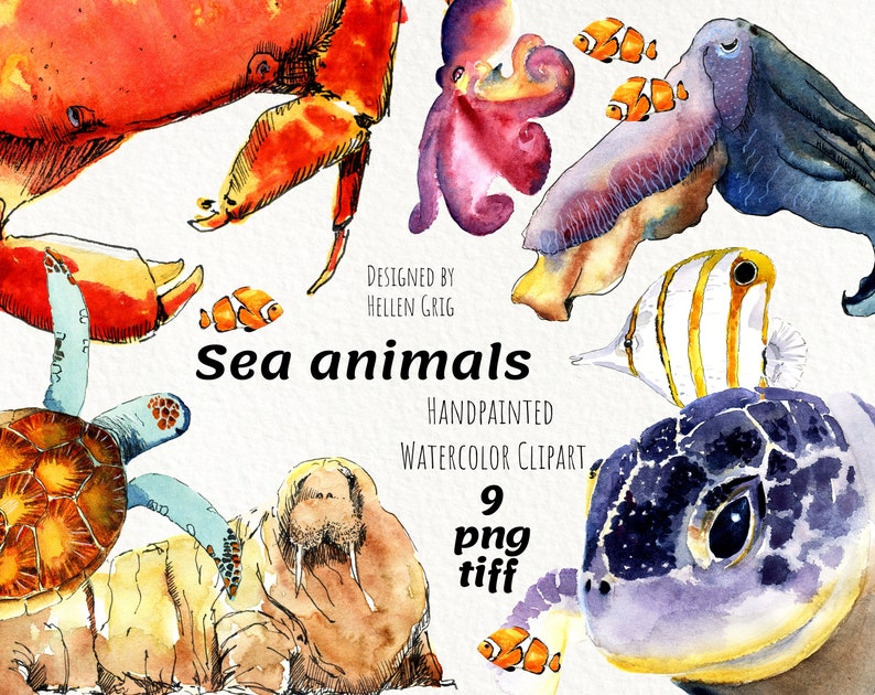 Sea Animals and Fish Watercolor Clipart. Handpainted Sealife Clip Art ...