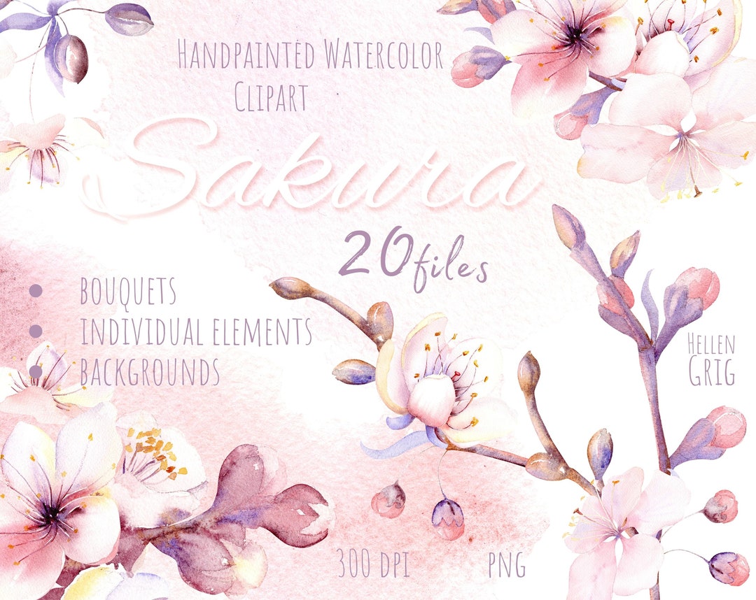 Watercolor Sakura Clipart. Pink, Cherry Blossom, Flowers, Wedding ...