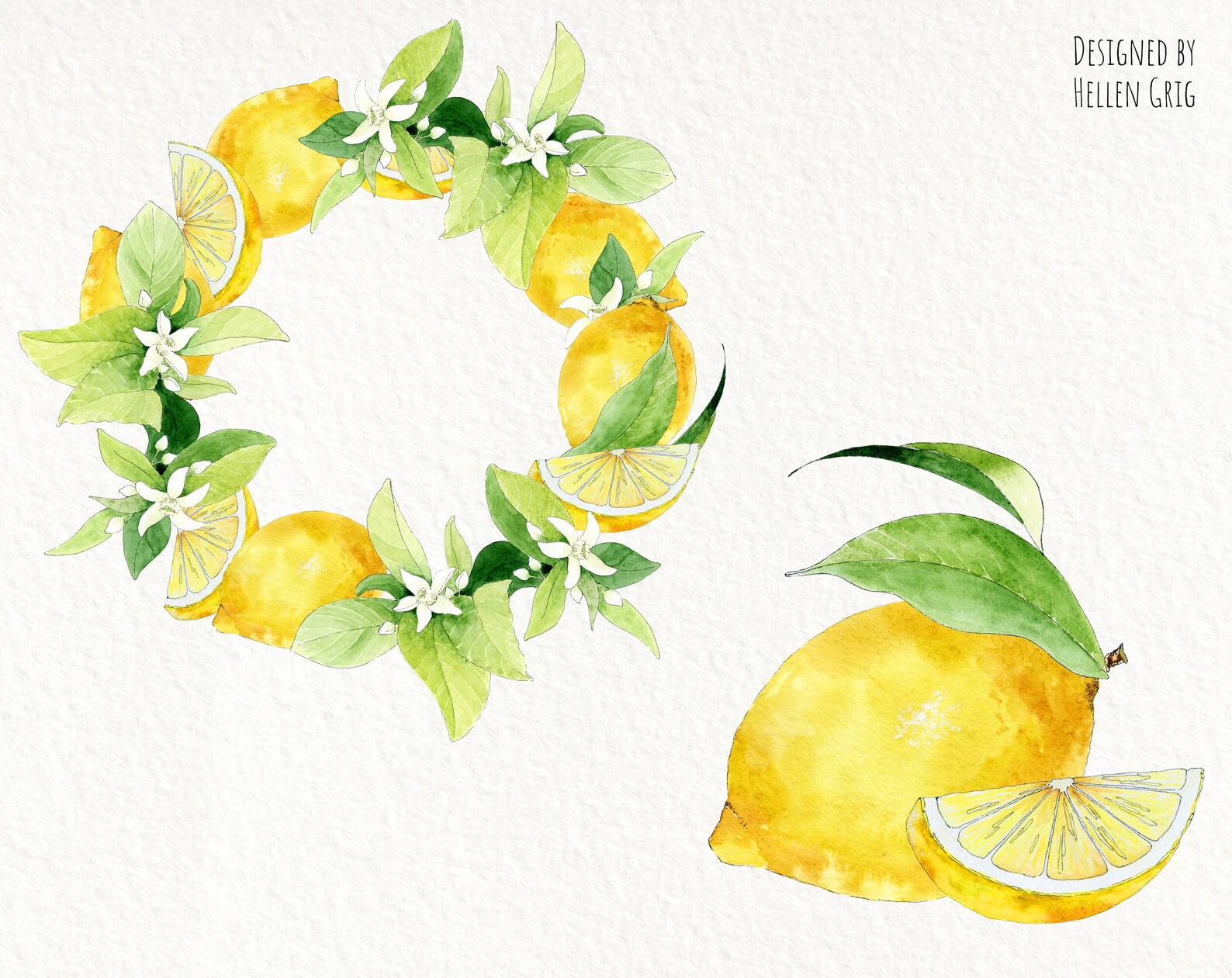 Watercolor Lemon Clipart Handpainted Bright Summer Fruit. Png - Etsy