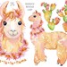 Watercolor Llama Clipart, Handpainted Alpaca Clip Art for Nursery Decor ...