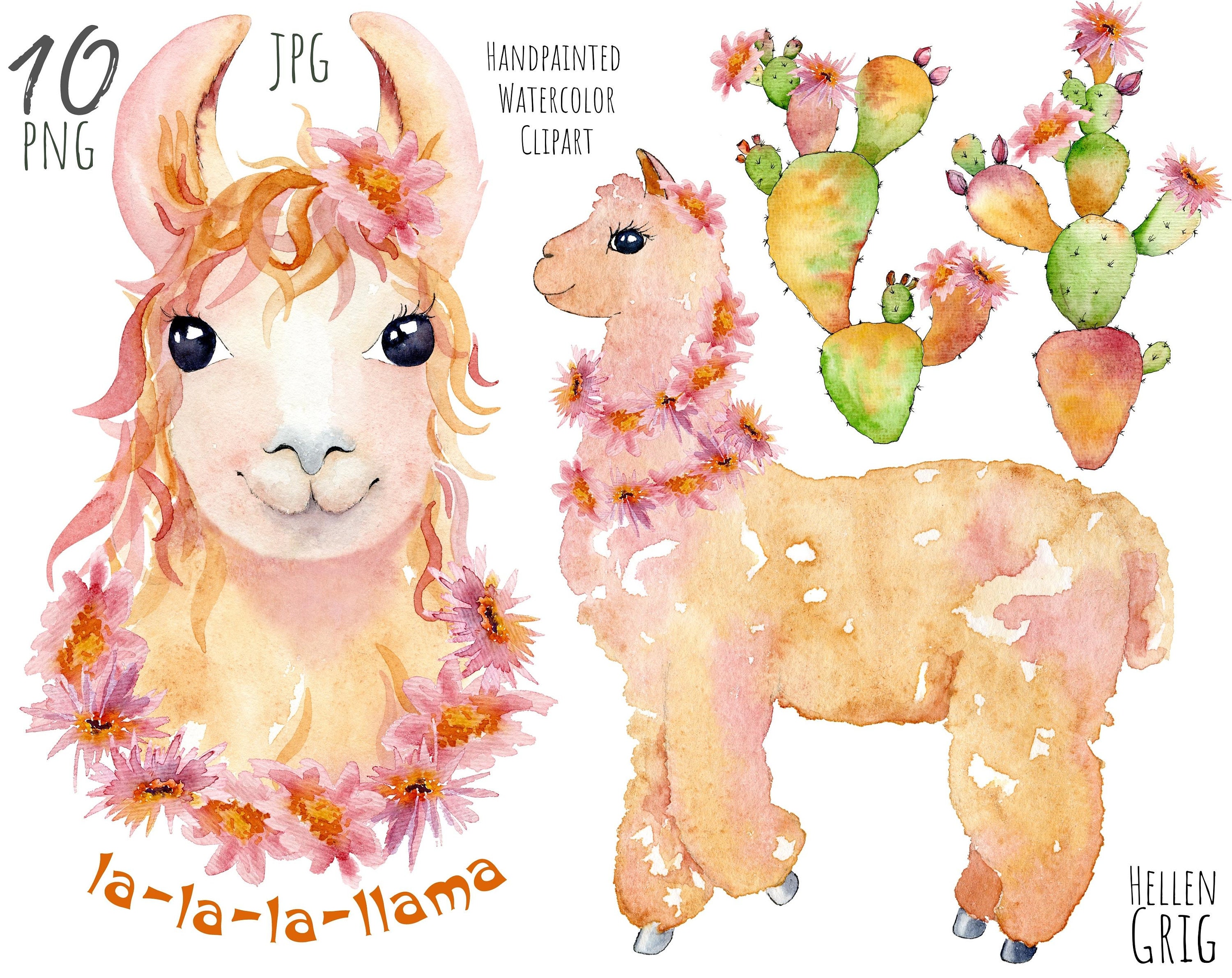 Watercolor Llama Clipart Handpainted Alpaca Clip Art for - Etsy