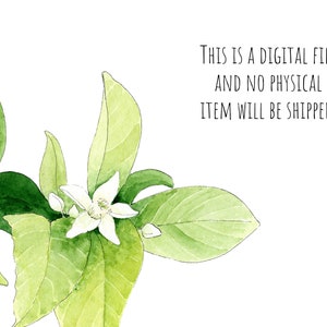 Watercolor Lemon Digital Paper, 12 Seamless Patterns. Handpainted ...