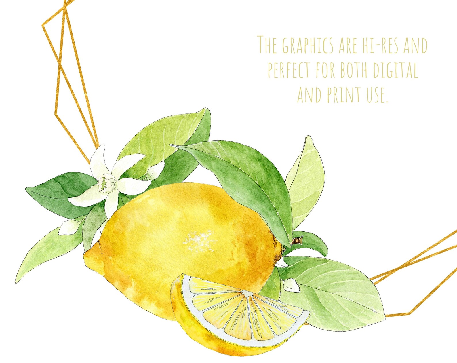 Watercolor Lemon Frame Clipart. Handpainted Bright Summer Fruit. Gold ...