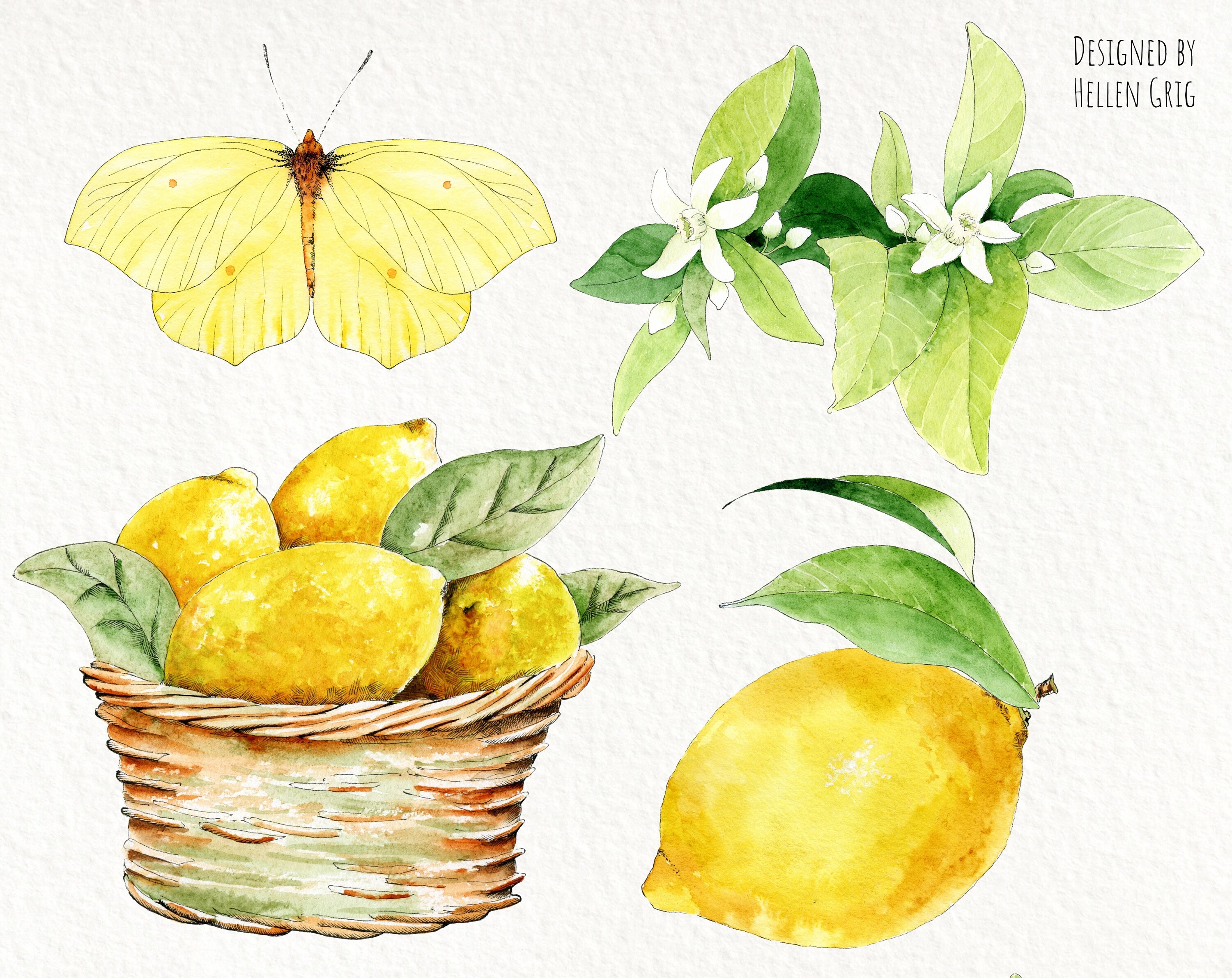 Watercolor Lemon Clipart Handpainted Bright Summer Fruit. Png - Etsy