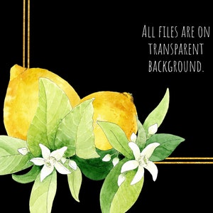 Watercolor Lemon Frame Clipart. Handpainted Bright Summer Fruit. Gold ...