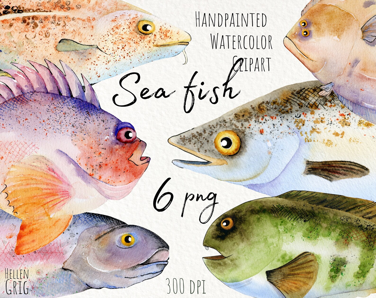 Fish Watercolor Clipart. Handpainted Sea Fish Clip Art. - Etsy