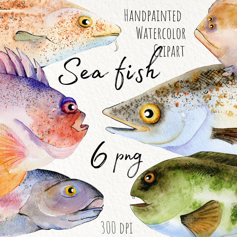 Fish Watercolor - Etsy