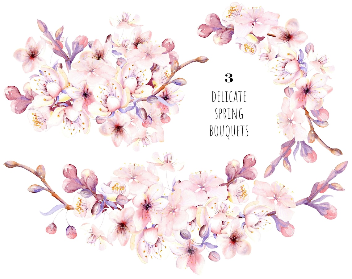 Watercolor Sakura Clipart. Pink Cherry Blossom Flowers - Etsy