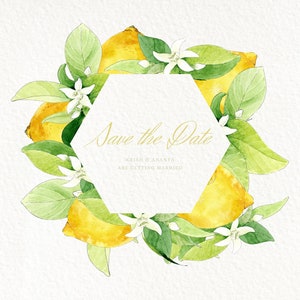 Watercolor Lemon Frame Clipart. Handpainted Bright Summer Fruit. Gold ...