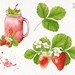 Watercolor Strawberry Clipart, Handpainted Bright Summer Fruits ...