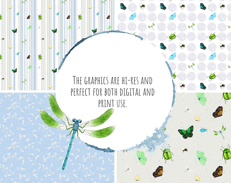Watercolor Insect Digital Paper, 12 Seamless Patterns. Handpainted ...