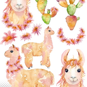 Watercolor Llama Clipart, Handpainted Alpaca Clip Art for Nursery Decor ...