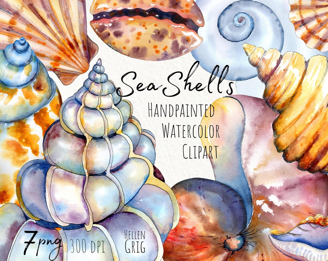 Watercolor Seashells Clipart. Handpainted Summer Set. Nautical Clipart ...
