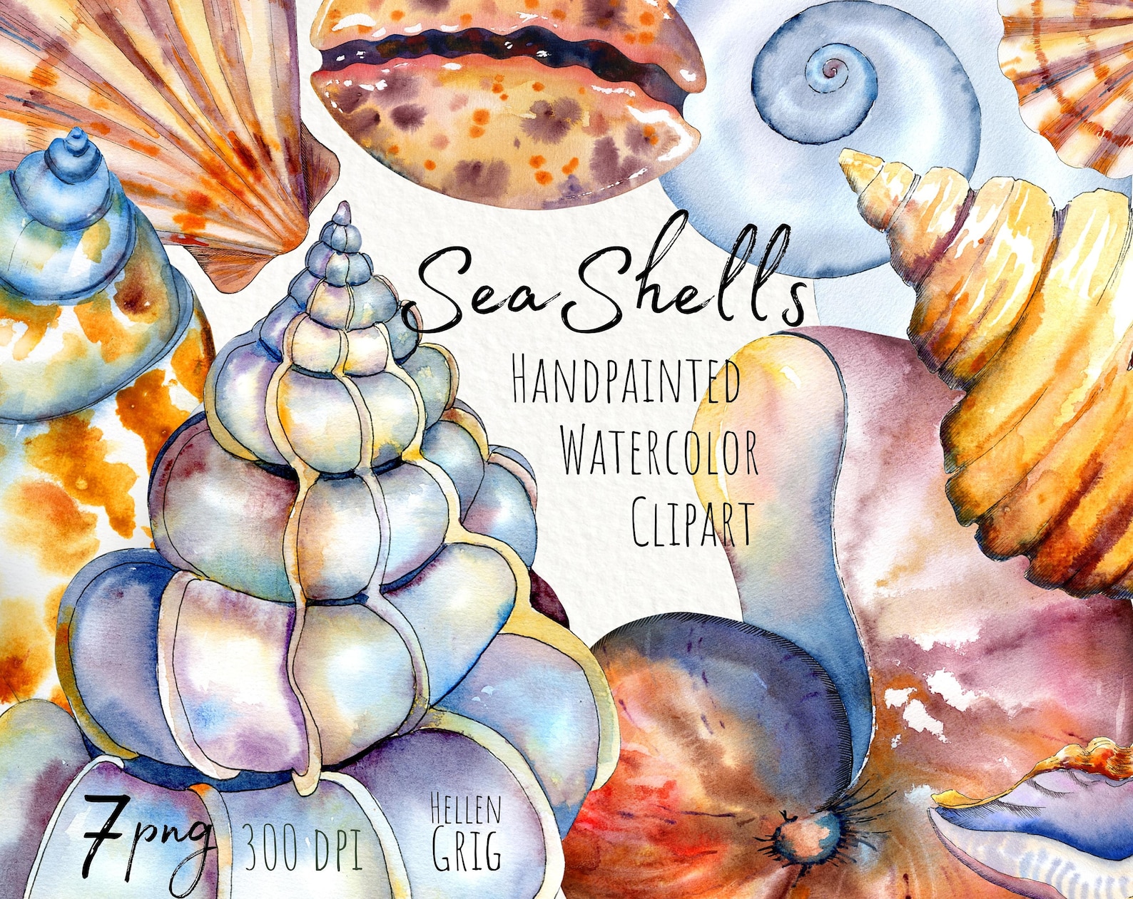 Watercolor Seashells Clipart. Handpainted Summer Set. Nautical Clipart ...
