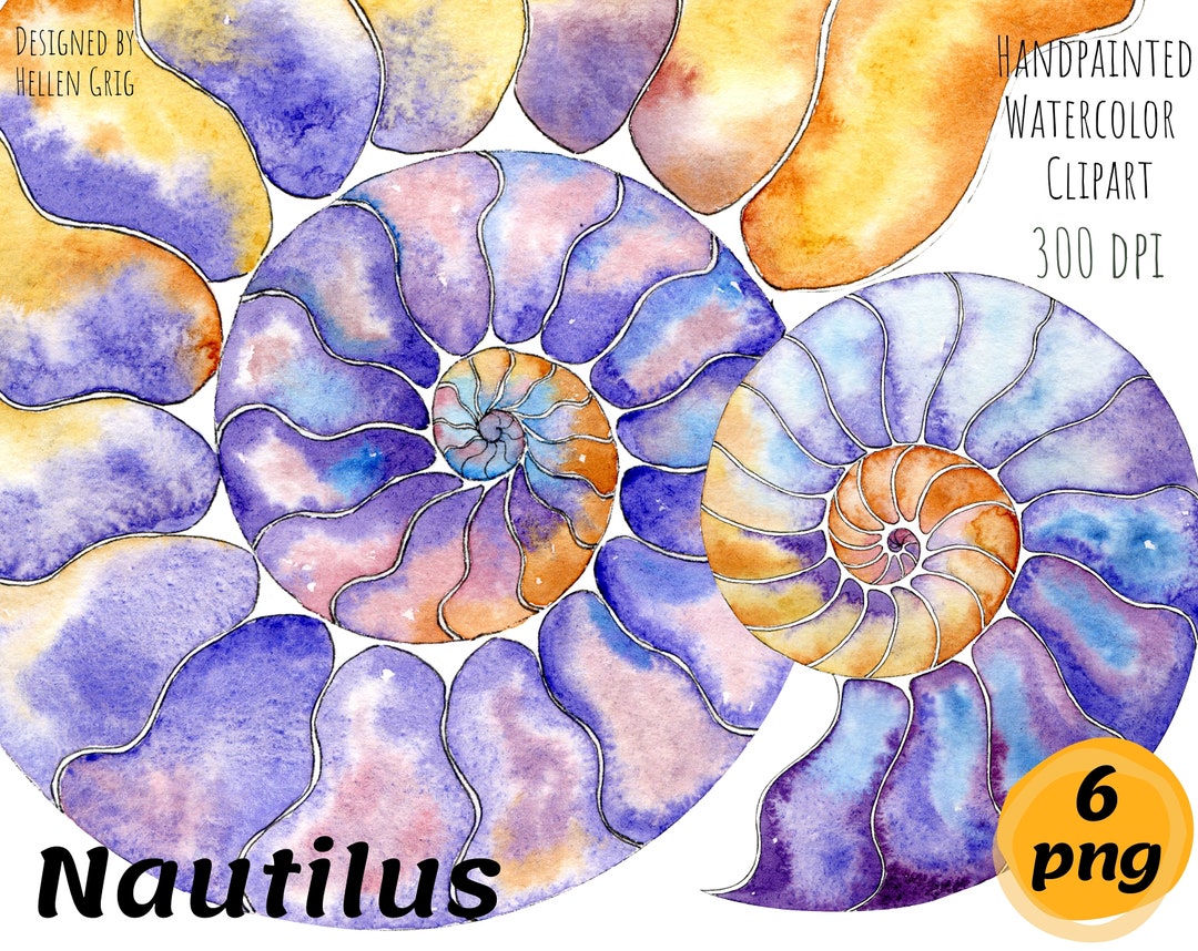 Watercolor Nautilus Shell Clipart, Handpainted Sea Set. Printable Files ...