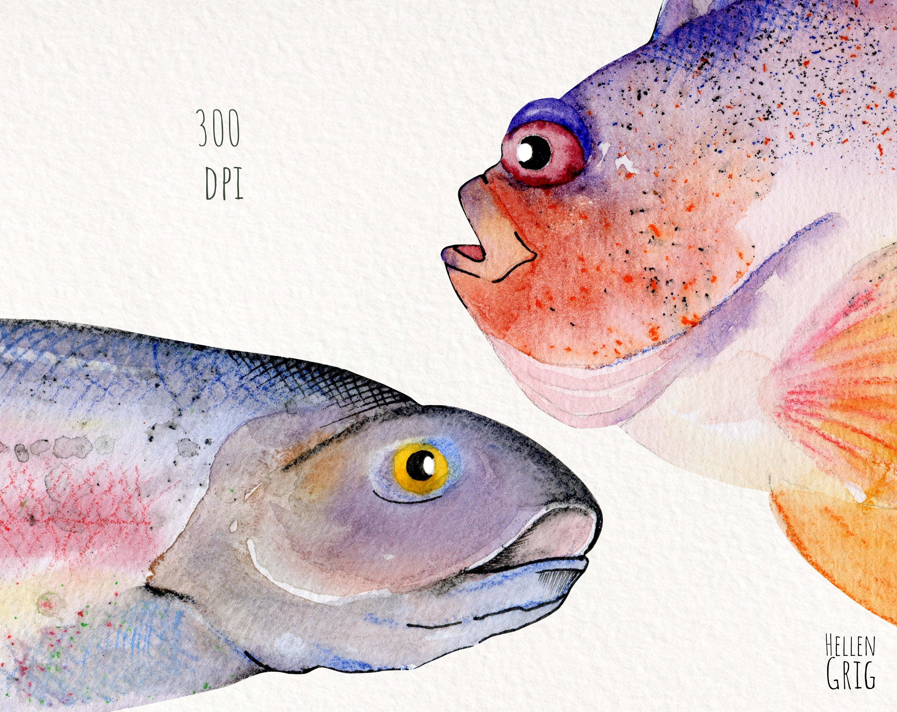 Fish Watercolor Clipart. Handpainted Sea Fish Clip Art. - Etsy