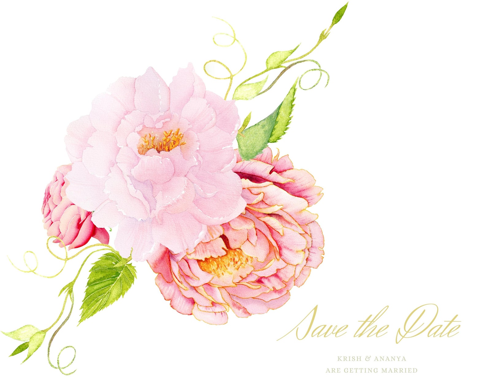 Watercolor Flower Clipart, Pink Peony Bouquets, Floral Arrangements ...