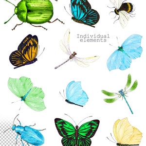 Watercolor Insect Clipart, Handpainted Summer Bug, Beetle, Dragonfly ...