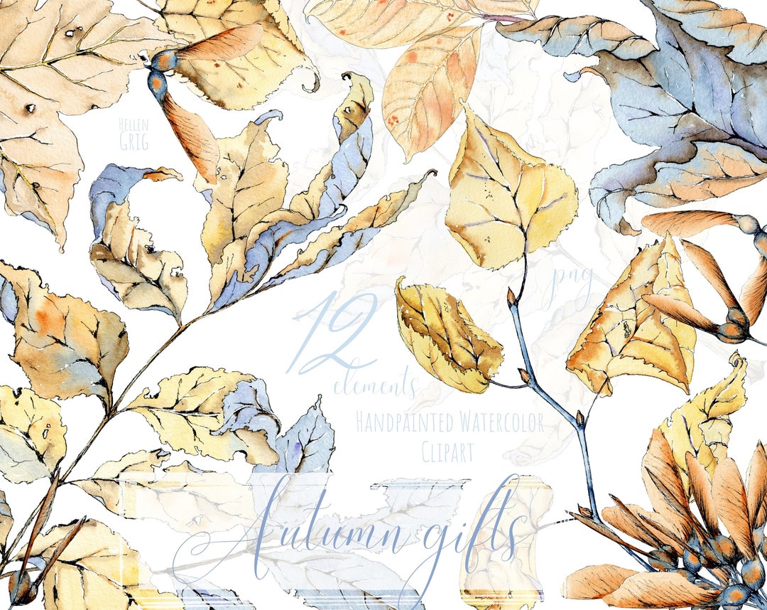 Watercolor Fall Leaves Clipart, Autumn Clipart, Fall Clipart ...