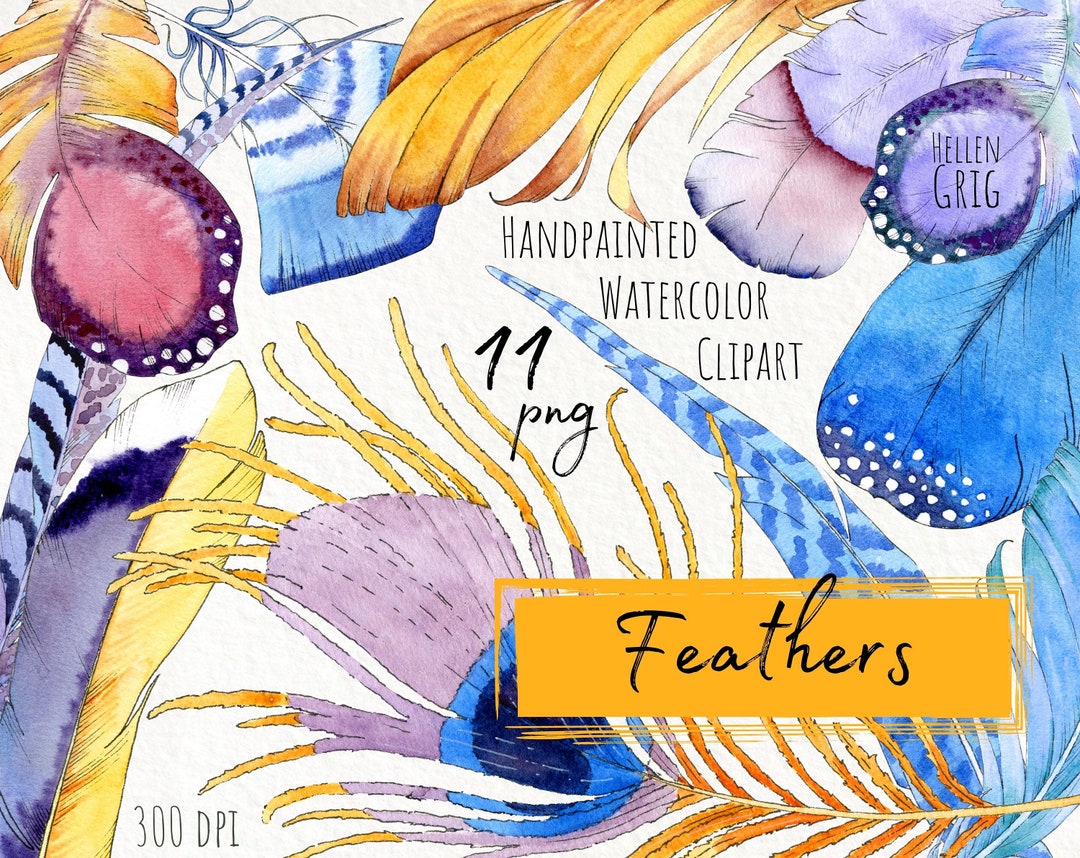 Watercolor Feather Clipart. Handpainted Bohemian Set. Boho Wedding ...